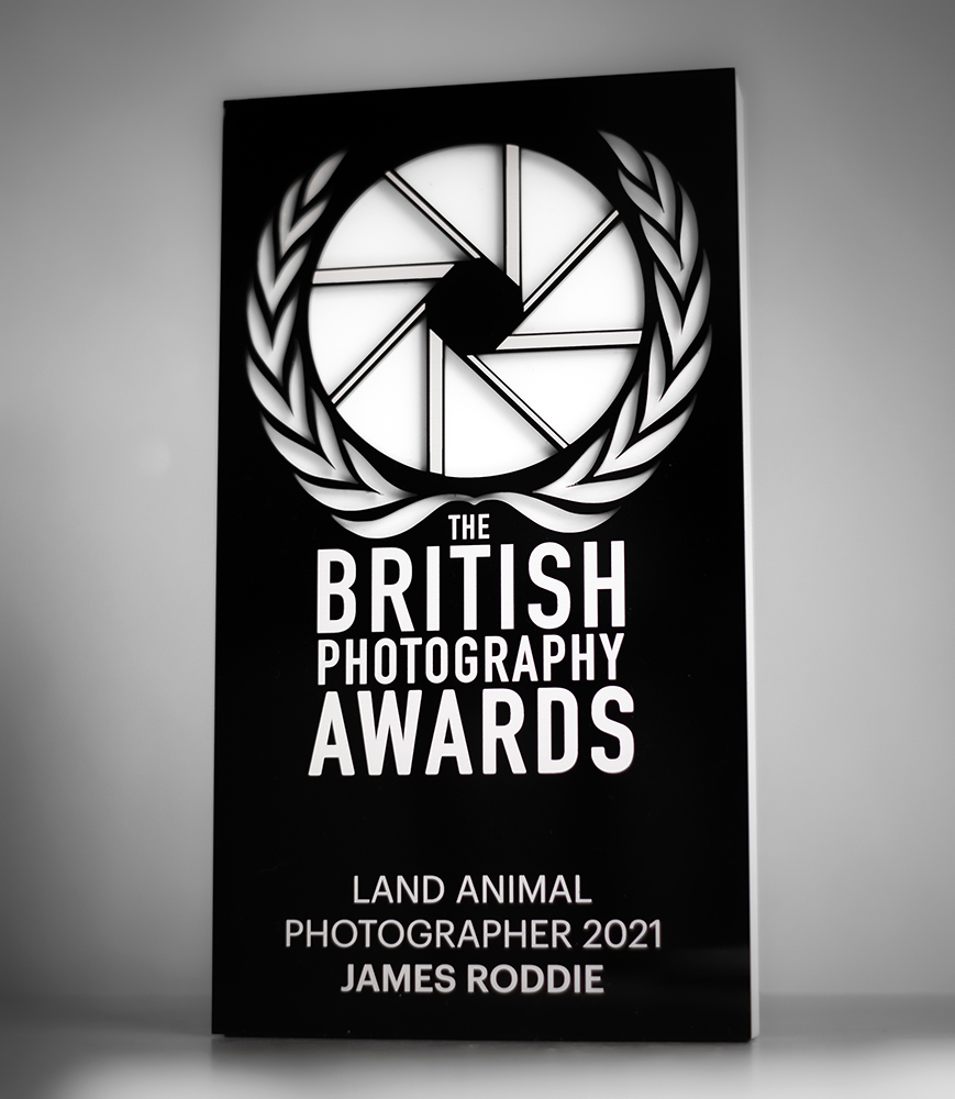Awards – JAMES RODDIE PHOTOGRAPHY