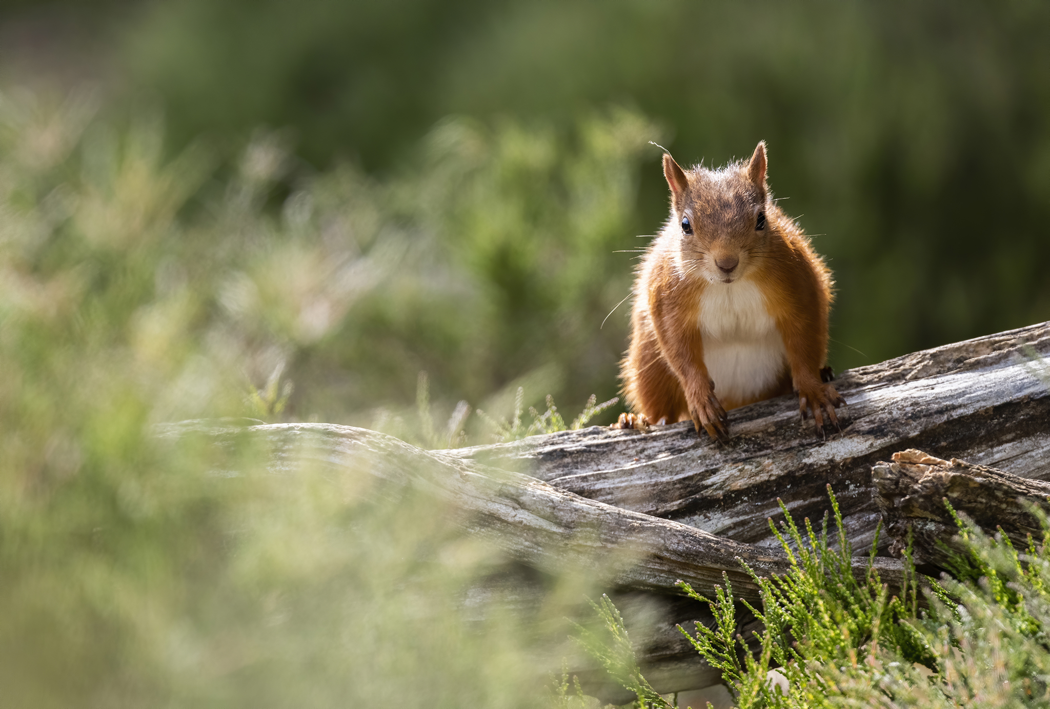 Workshops + guiding – JAMES RODDIE PHOTOGRAPHY