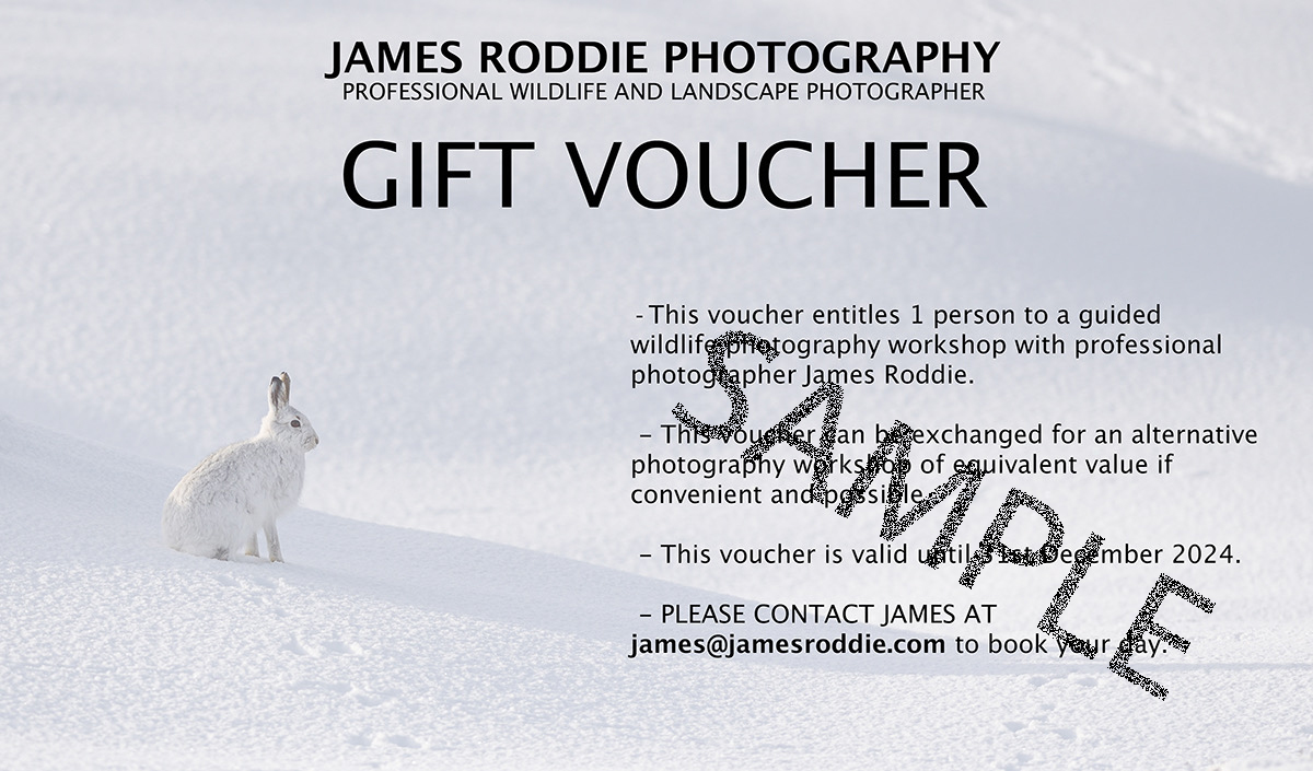 Gift Vouchers – JAMES RODDIE PHOTOGRAPHY