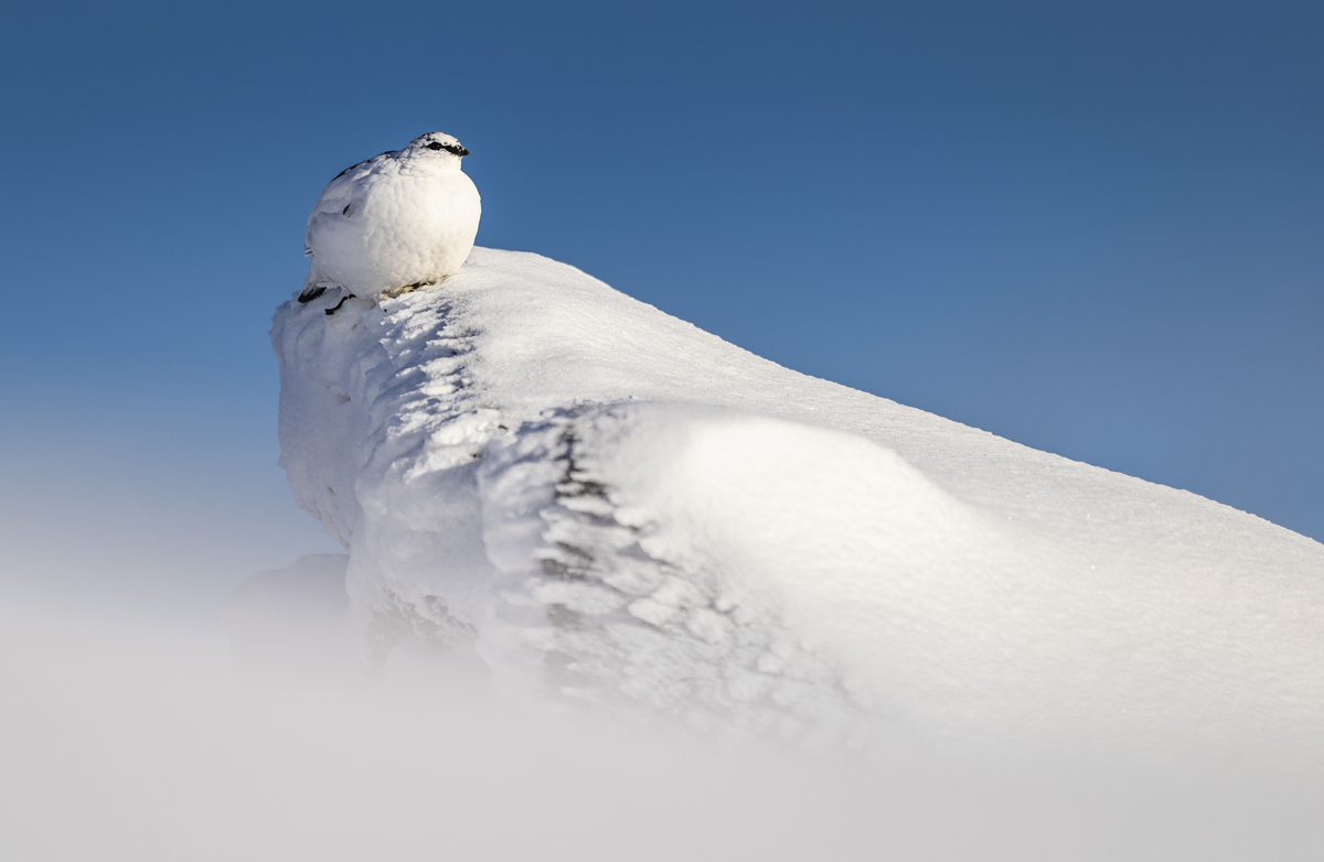 Favourite Images – JAMES RODDIE PHOTOGRAPHY