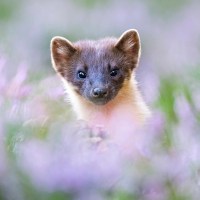 Galleries – JAMES RODDIE PHOTOGRAPHY